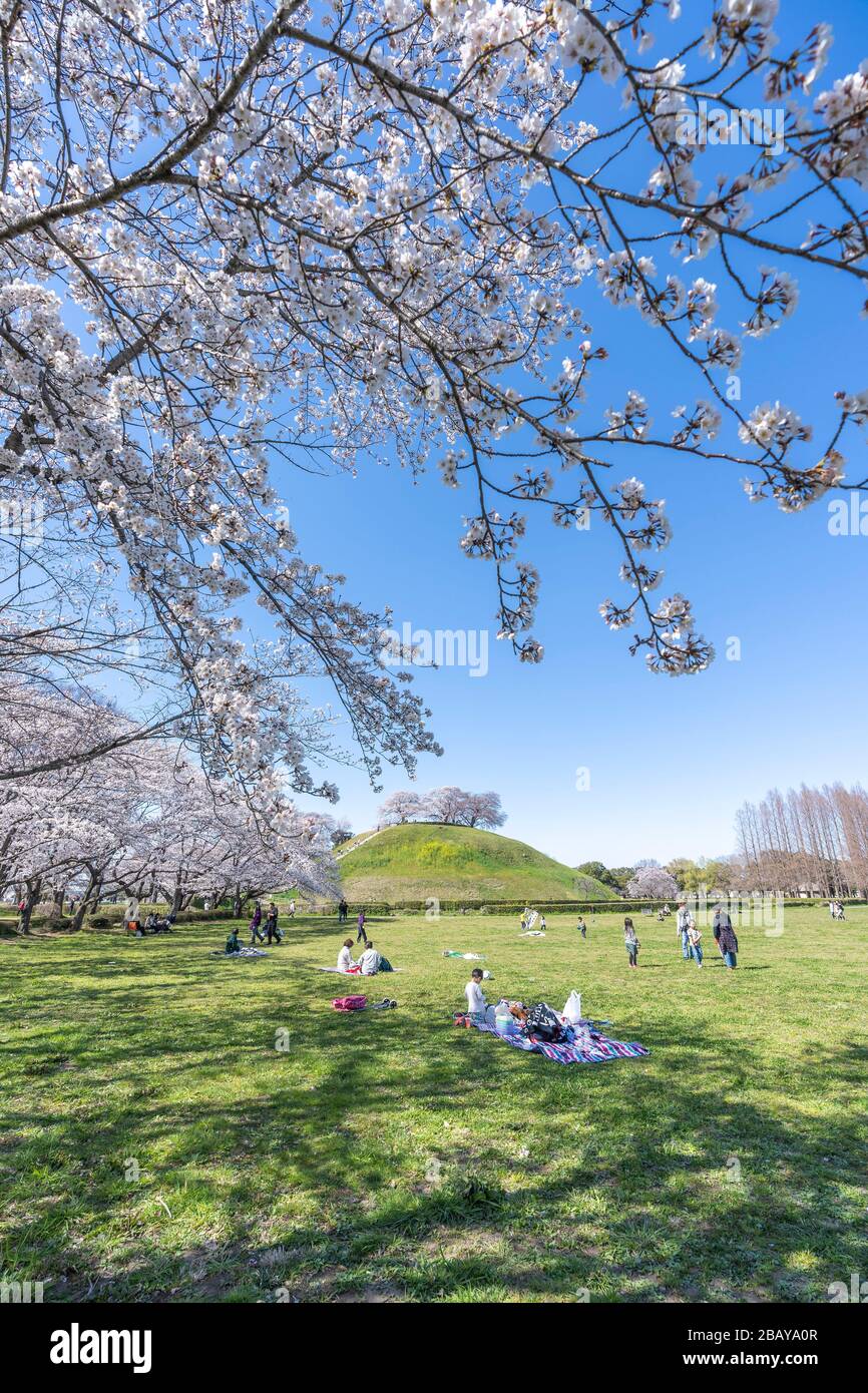 Maruyama kofun, Sakitama ancient tomb park, Gyoda City, Saitama ...