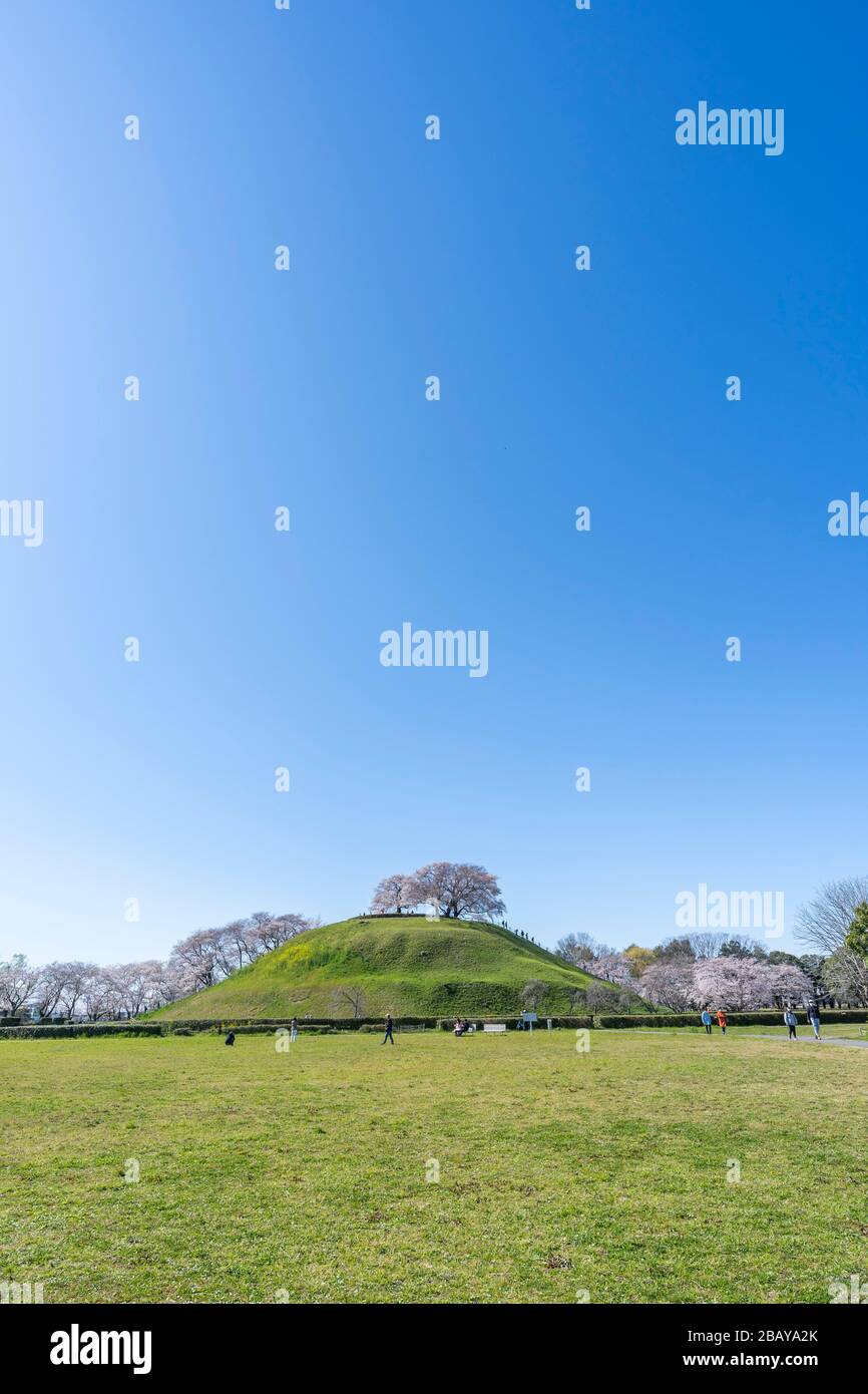 Maruyama kofun, Sakitama ancient tomb park, Gyoda City, Saitama ...