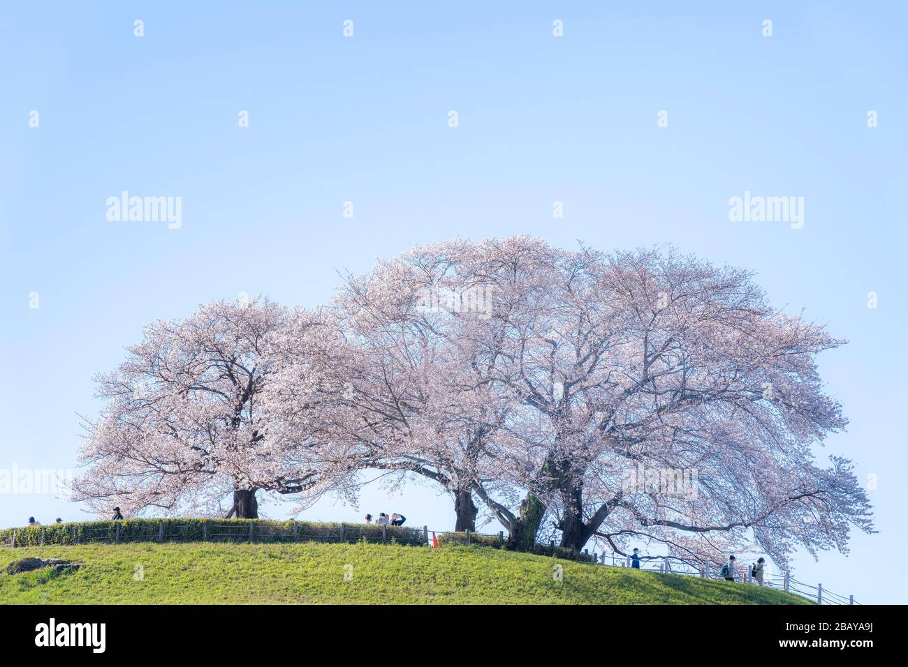 Maruyama kofun, Sakitama ancient tomb park, Gyoda City, Saitama ...