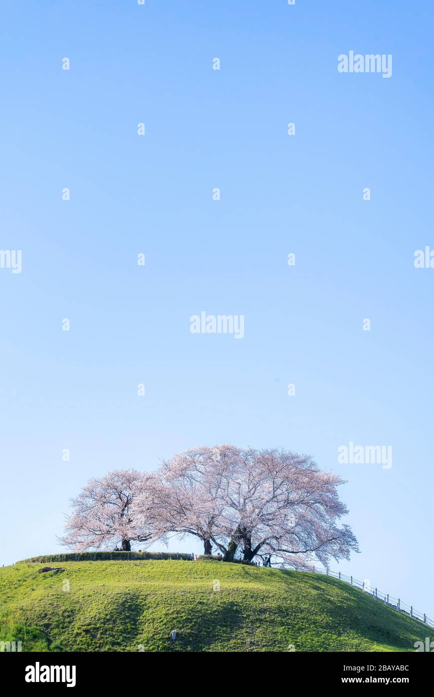 Maruyama kofun, Sakitama ancient tomb park, Gyoda City, Saitama ...