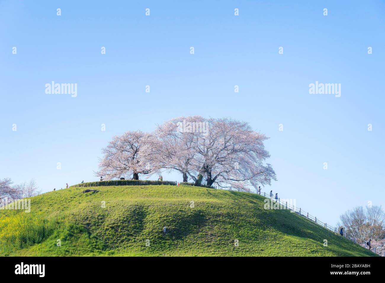 Maruyama kofun, Sakitama ancient tomb park, Gyoda City, Saitama ...