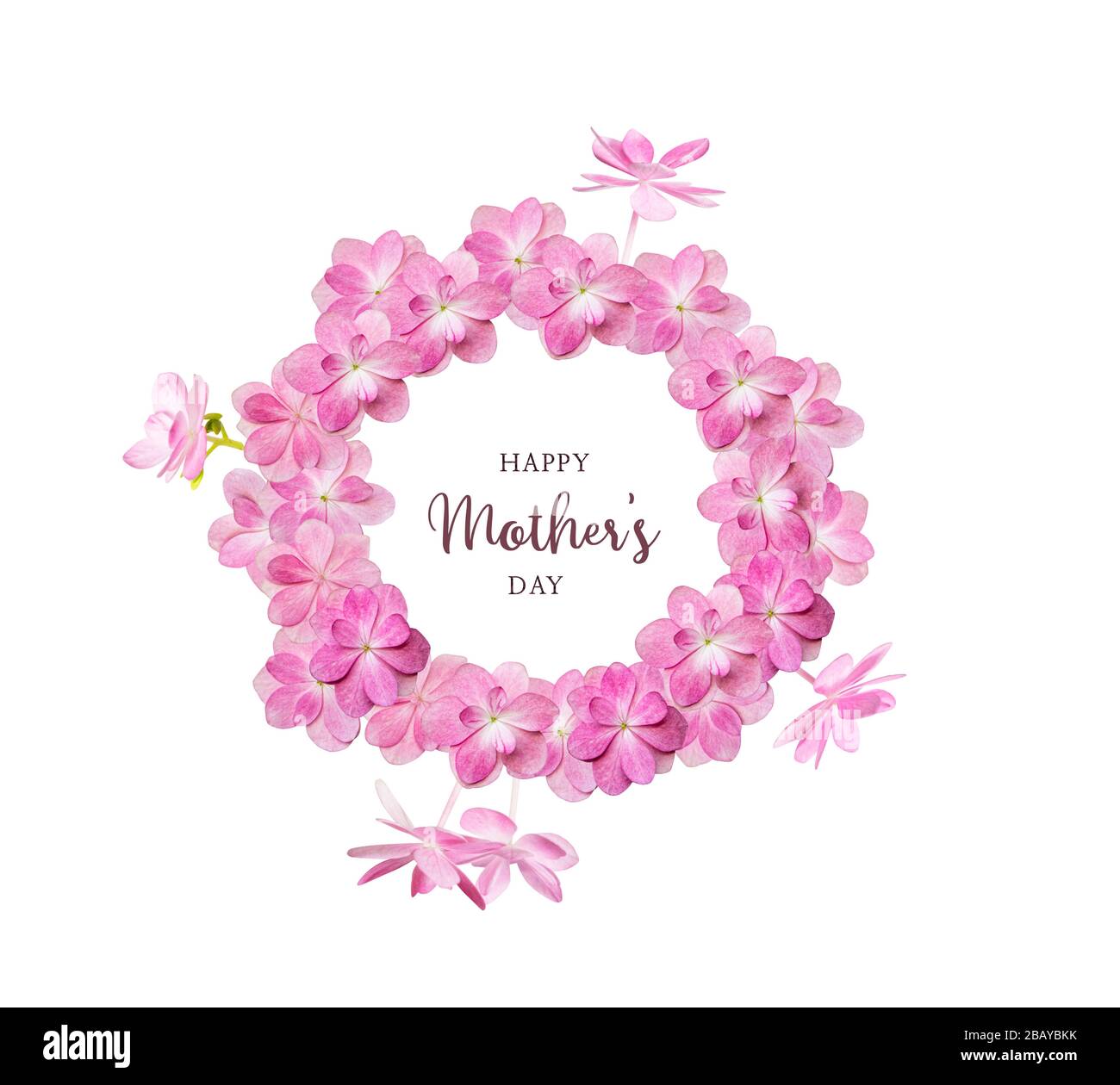 Hydrangea flower editable design Stock Photo - Alamy