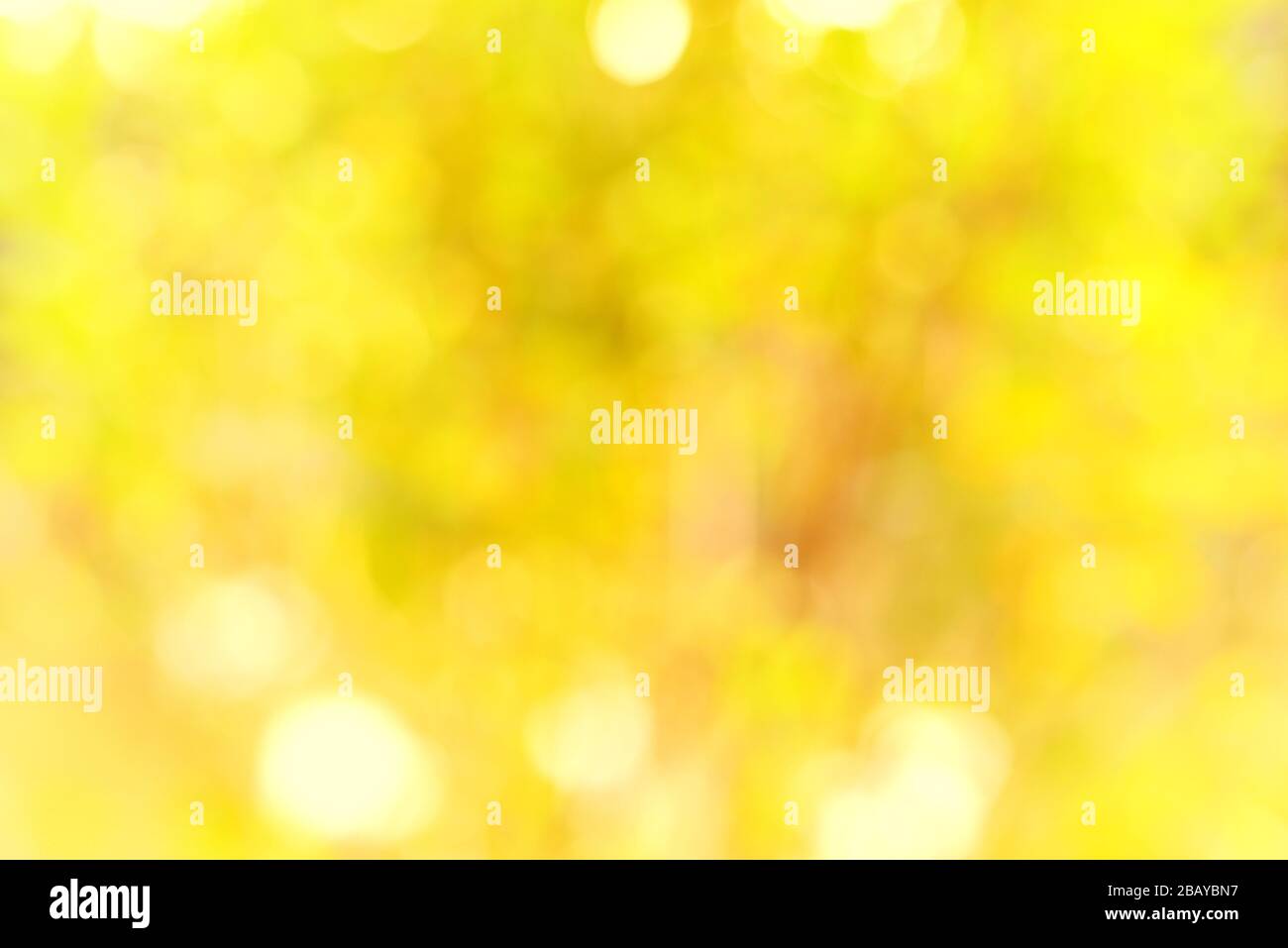 Nature yellow bokeh background / Warm yellow golden color tone blurred ...