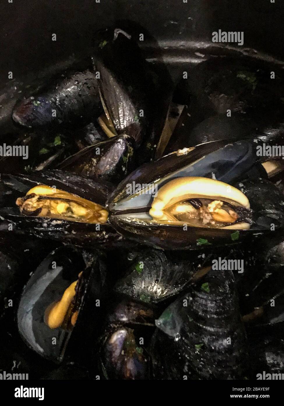 Flame mussel hi-res stock photography and images - Alamy