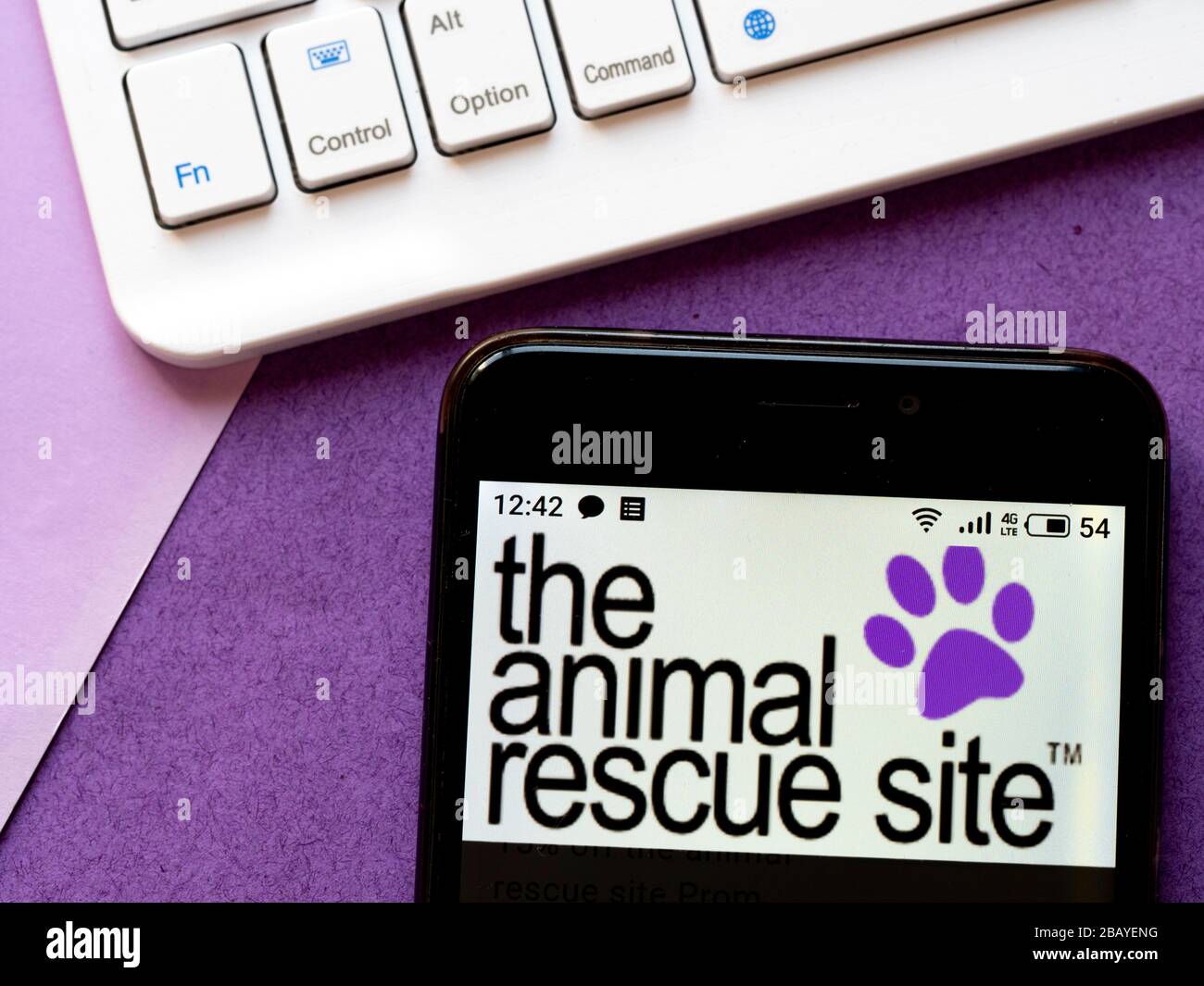In this photo illustration The Animal Rescue Site logo seen displayed ...