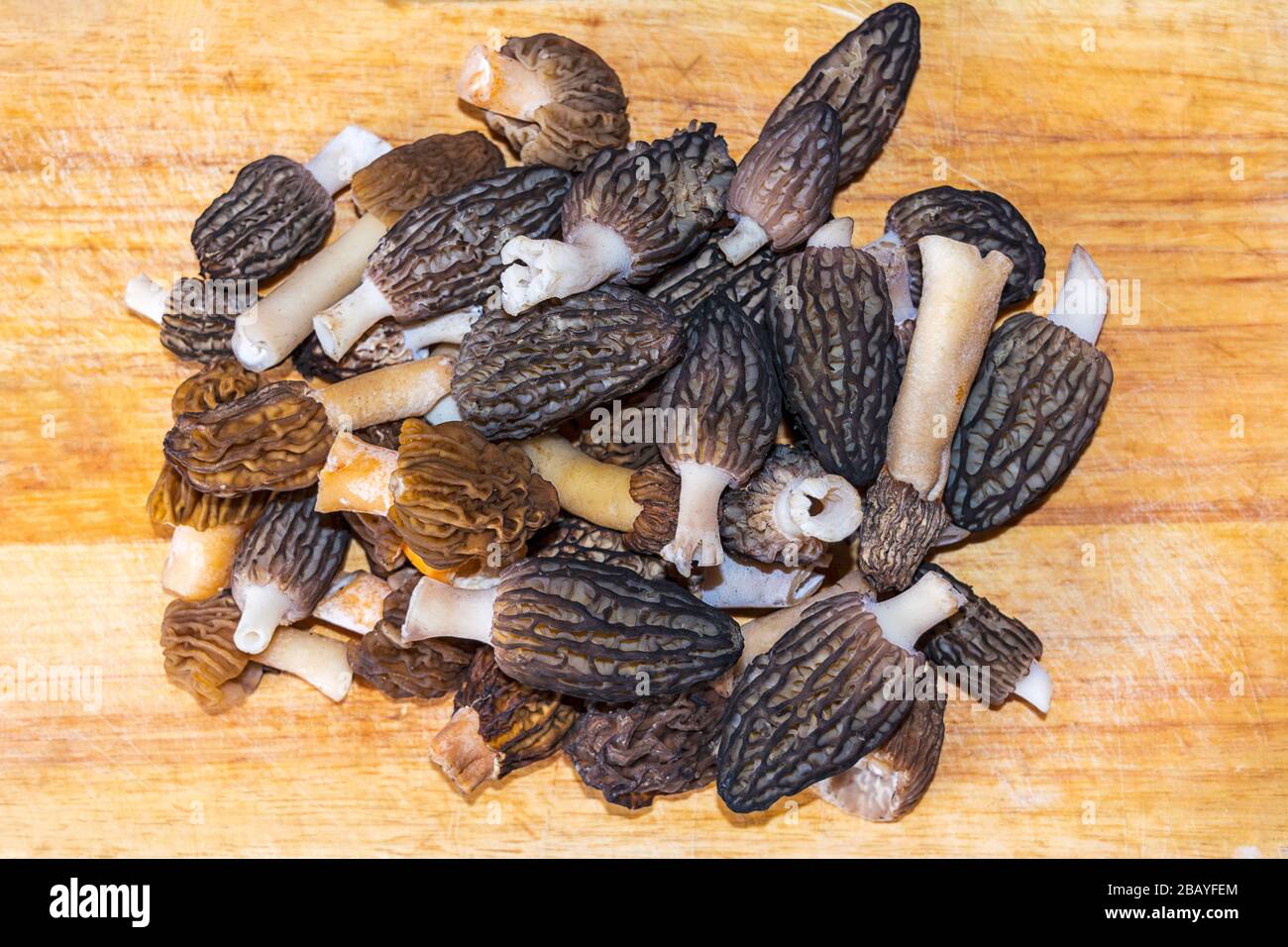 Black morels hi-res stock photography and images - Alamy