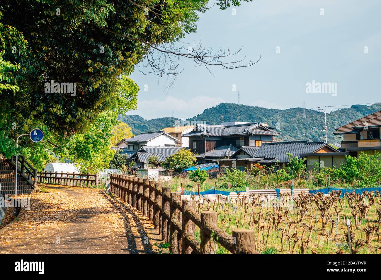 Shikoku view matsuyama city hi-res stock photography and images - Alamy