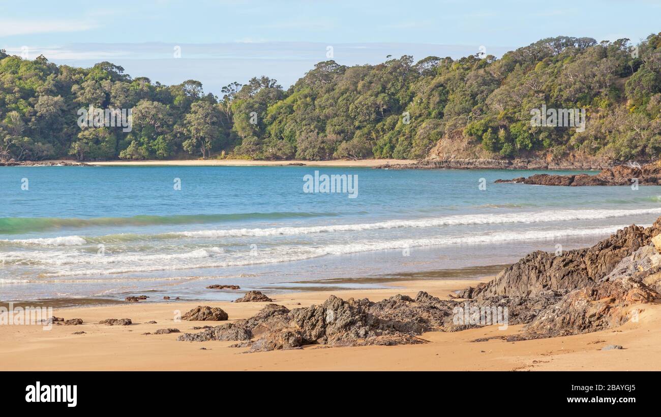 Whale bay new zealand hi-res stock photography and images - Alamy