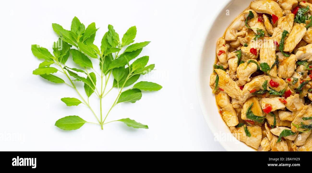 Holy basil leaves and dish of stir-fried chicken with holy basil on ...