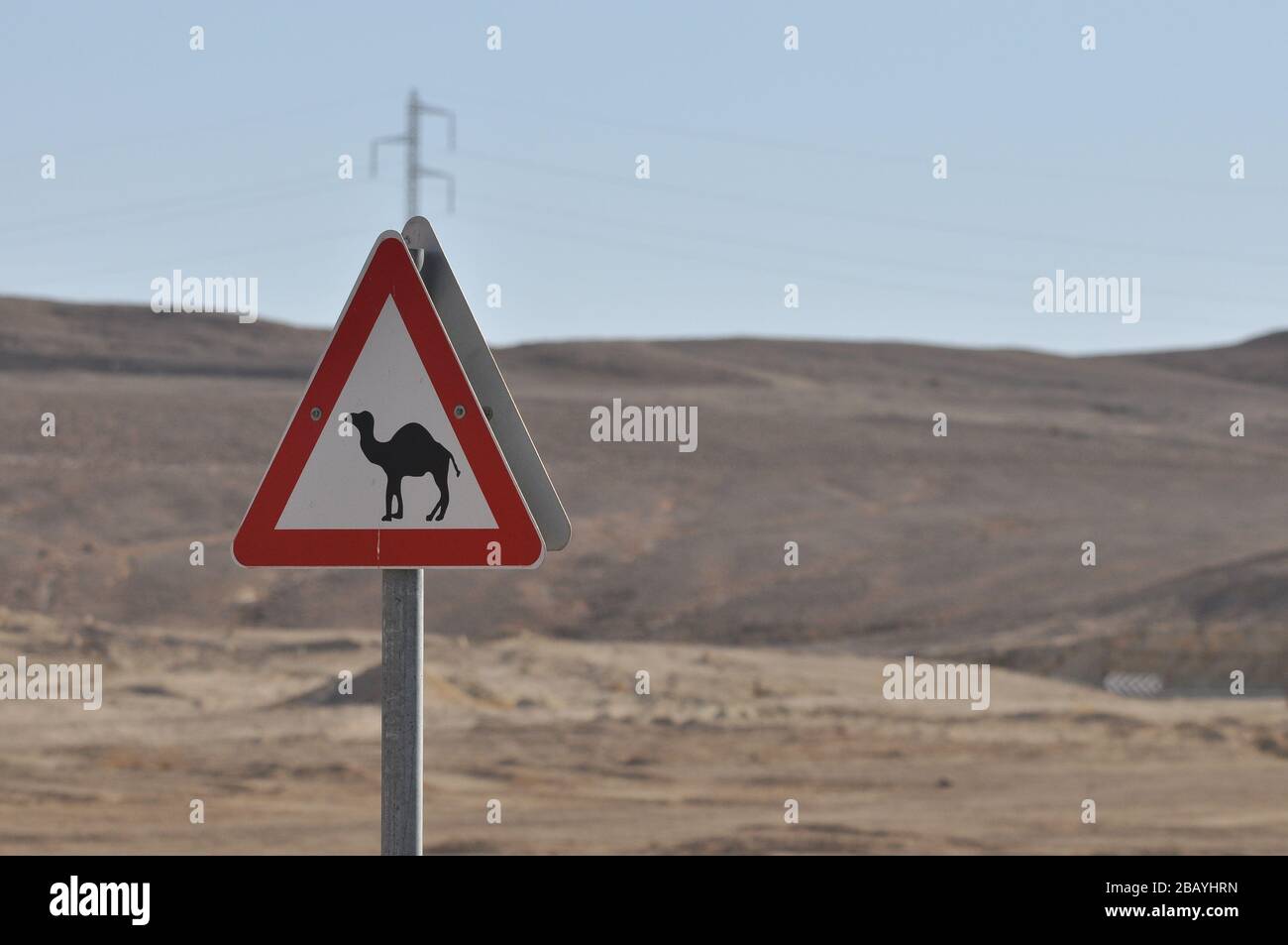 Camel warning sign on the road. Signage in the desert in Israel Stock ...