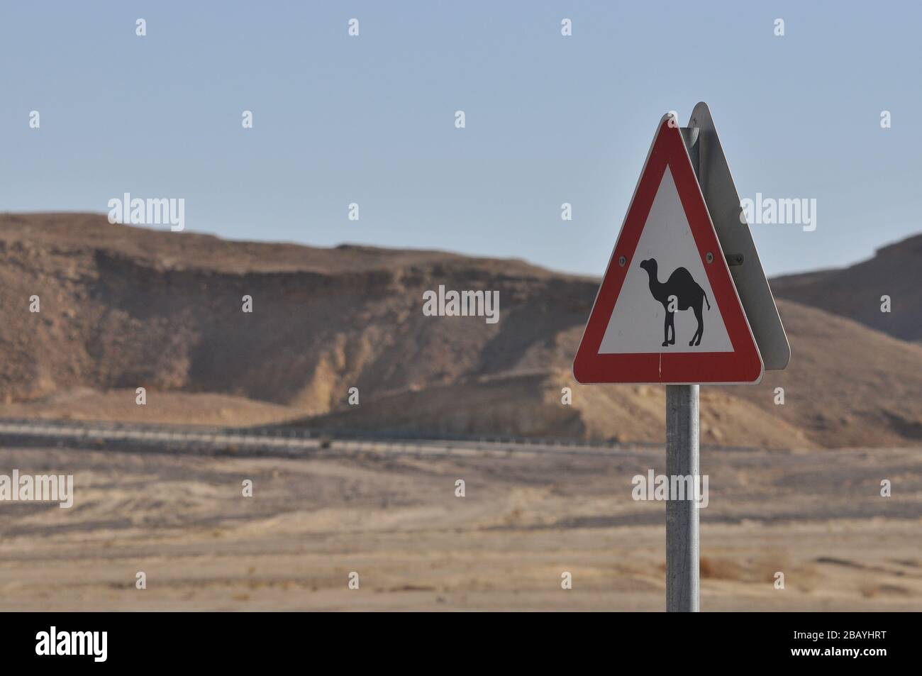 Camel warning sign on the road. Signage in the desert in Israel Stock ...