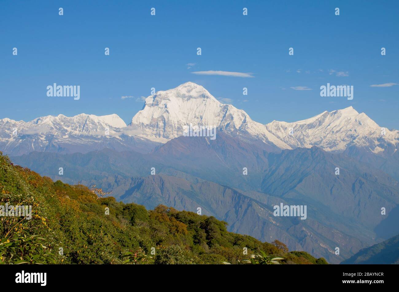 Landscape snow peaks mount Himalayas Nepal Stock Photo - Alamy