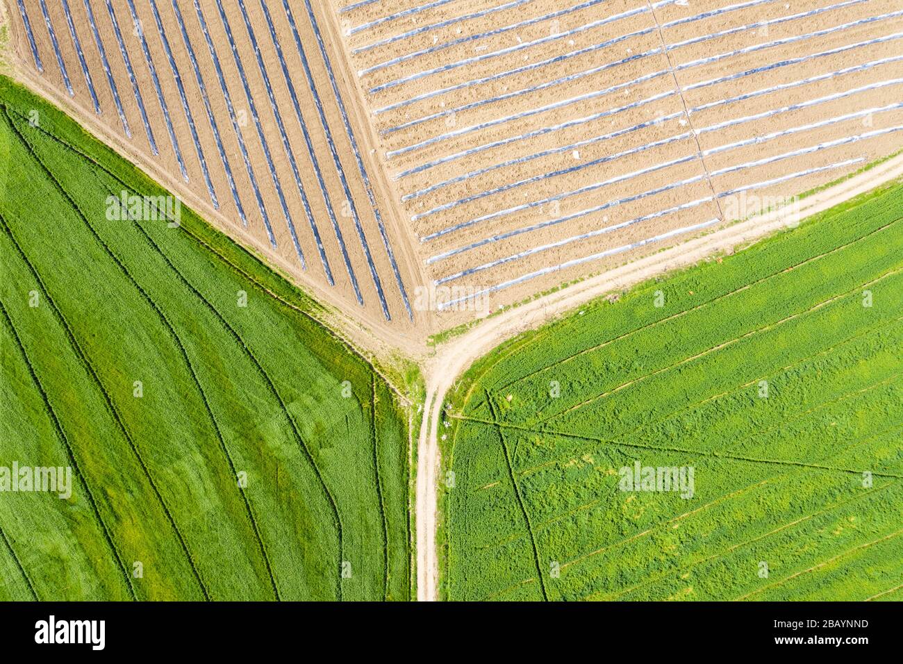Aerial plant hi-res stock photography and images - Alamy