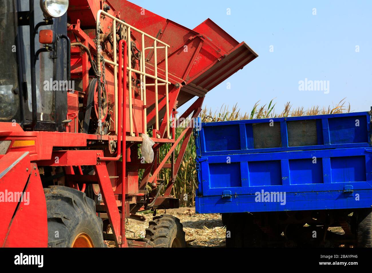 Modern harvester gathering corn crop hi-res stock photography and ...