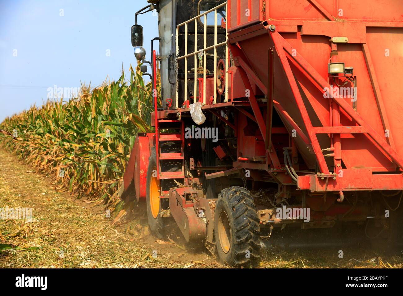 Modern harvester gathering corn crop hi-res stock photography and ...