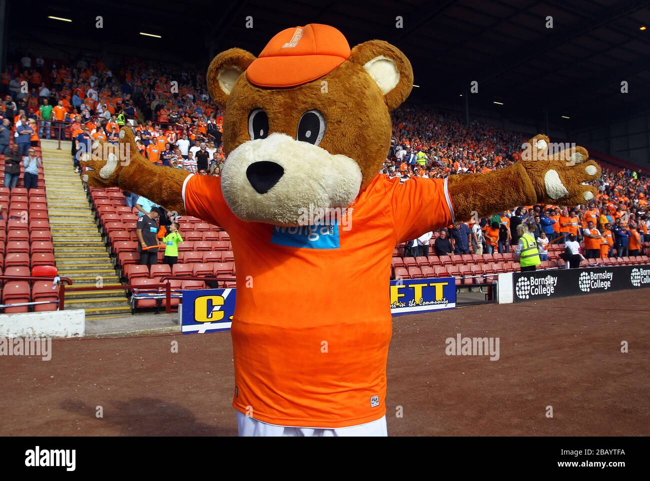 Bloomfield Bear, Blackpool mascot Stock Photo - Alamy