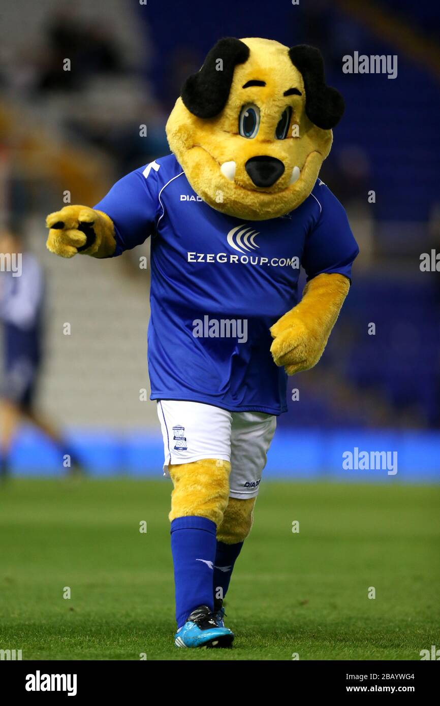 Birmingham City mascot Beau Brummie Stock Photo - Alamy
