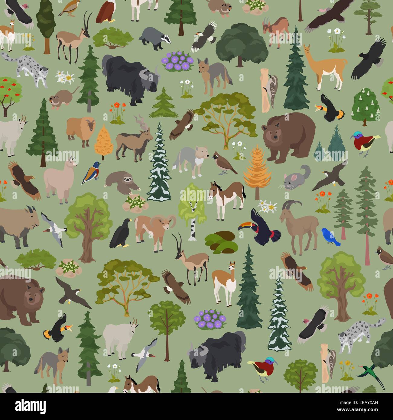 Montane forest biome, natural region seamless pattern. Terrestrial ...