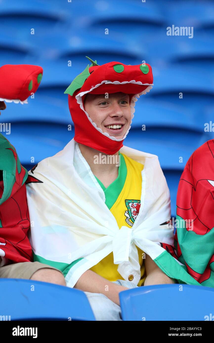 Fan hat dragon hi-res stock photography and images - Alamy