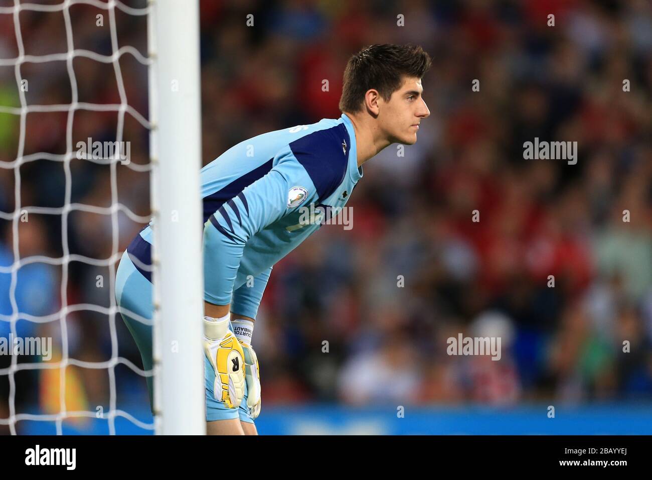Thibaut Courtois, Belgium goalkeeper Stock Photo - Alamy