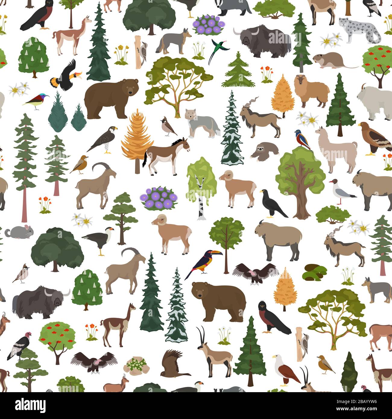 Montane forest biome, natural region seamless pattern. Terrestrial ...