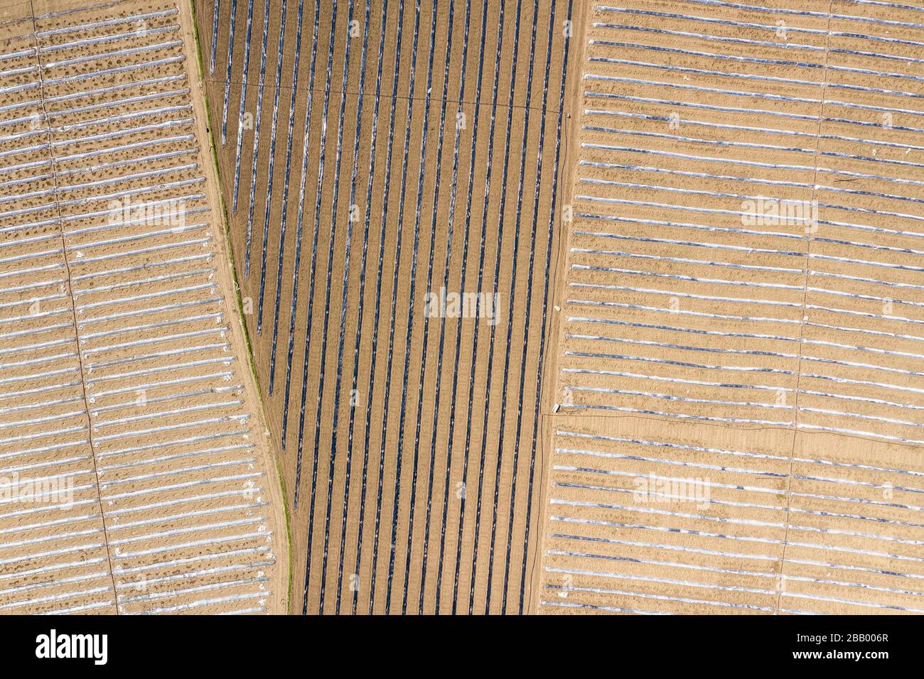 An aerial view of a huge new seeded agricultural plant field. Brown ...