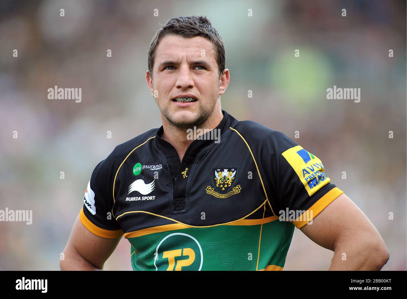 Phil Dowson, Northampton Saints Stock Photo - Alamy