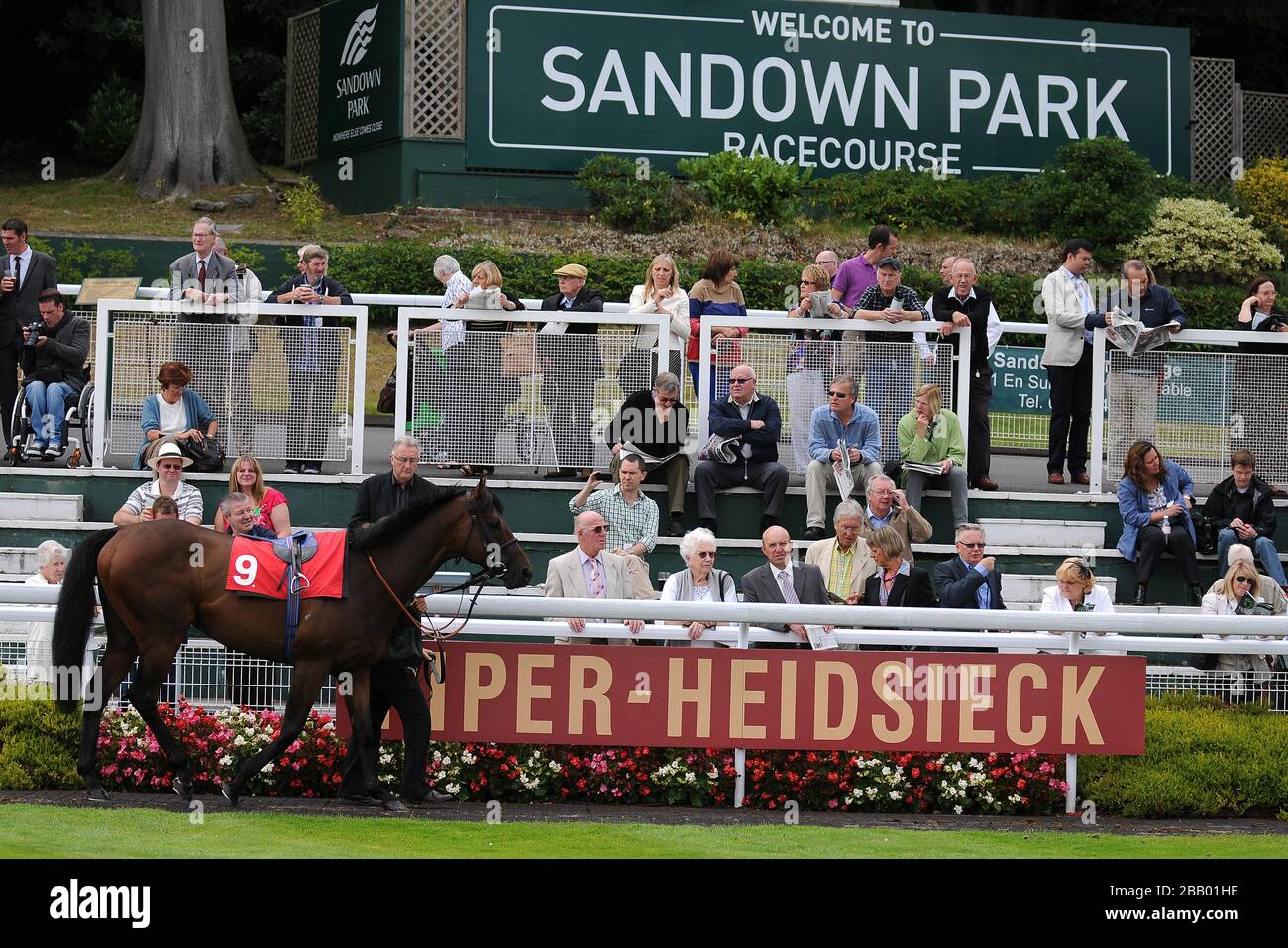 Racegoers watch horses in the parade ring at Sandown Park Stock Photo ...