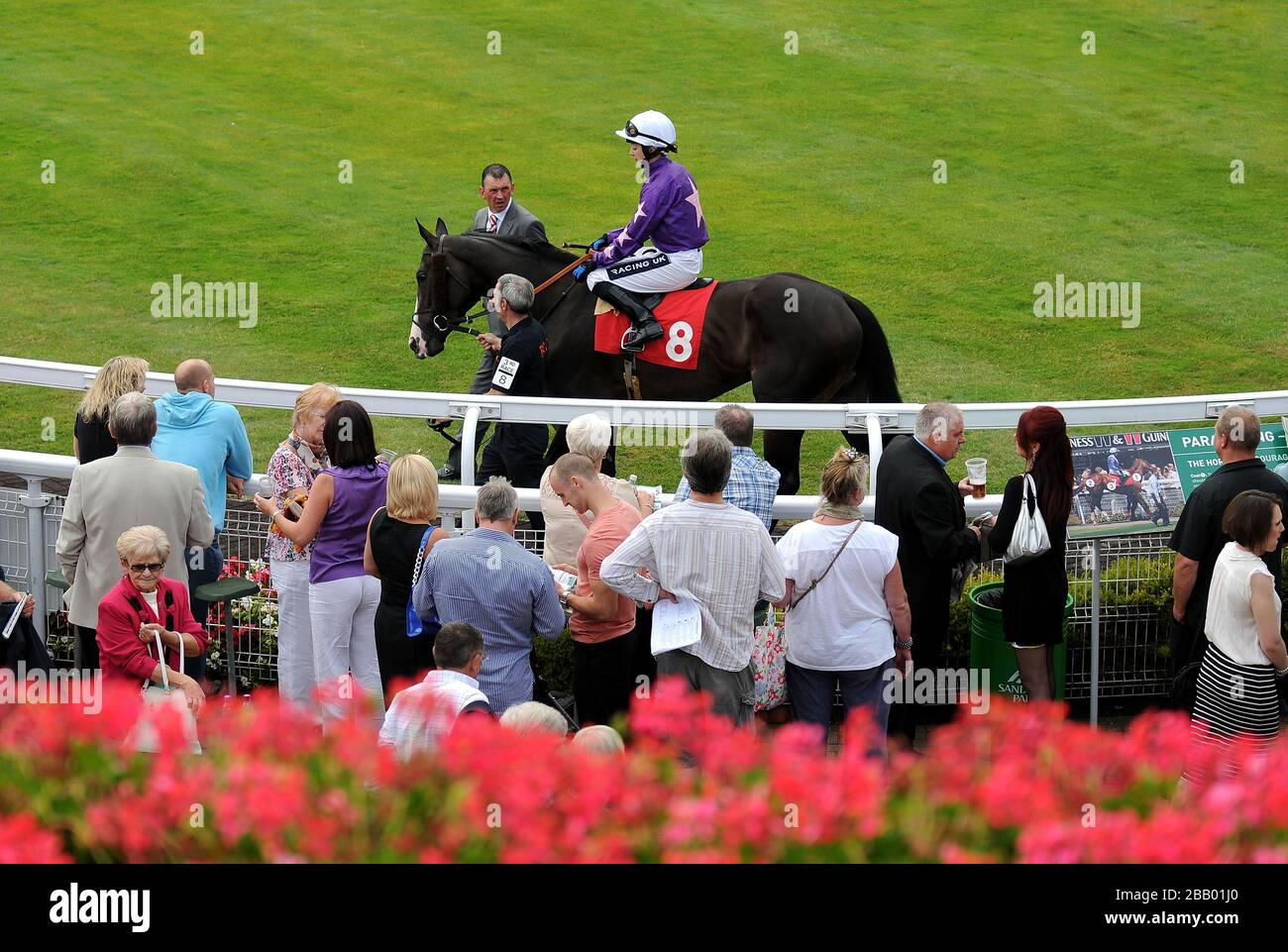The parade ring at sandown hi-res stock photography and images - Alamy