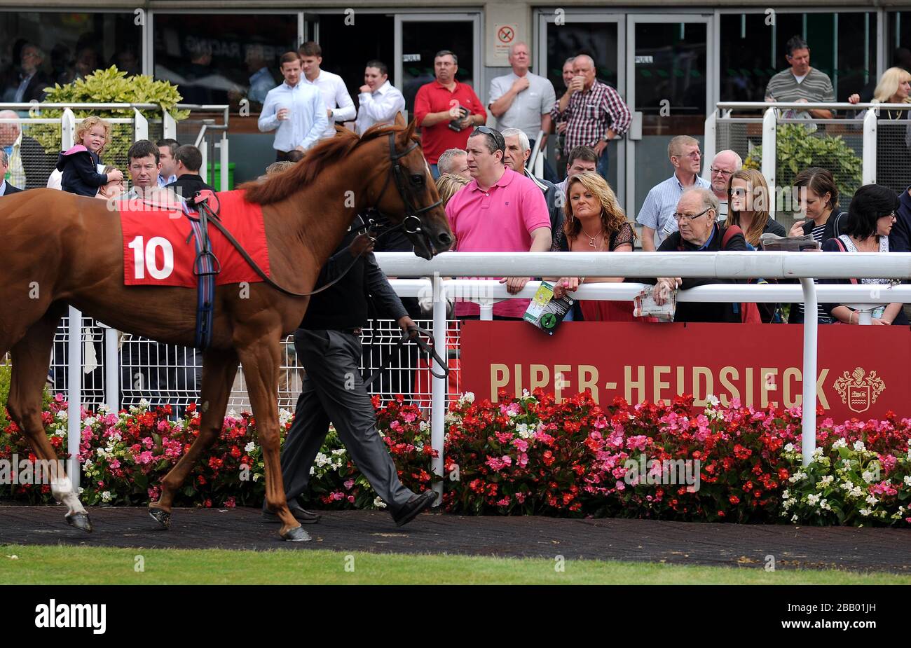 Racegoers watch horses in the parade ring at Sandown Park Stock Photo ...