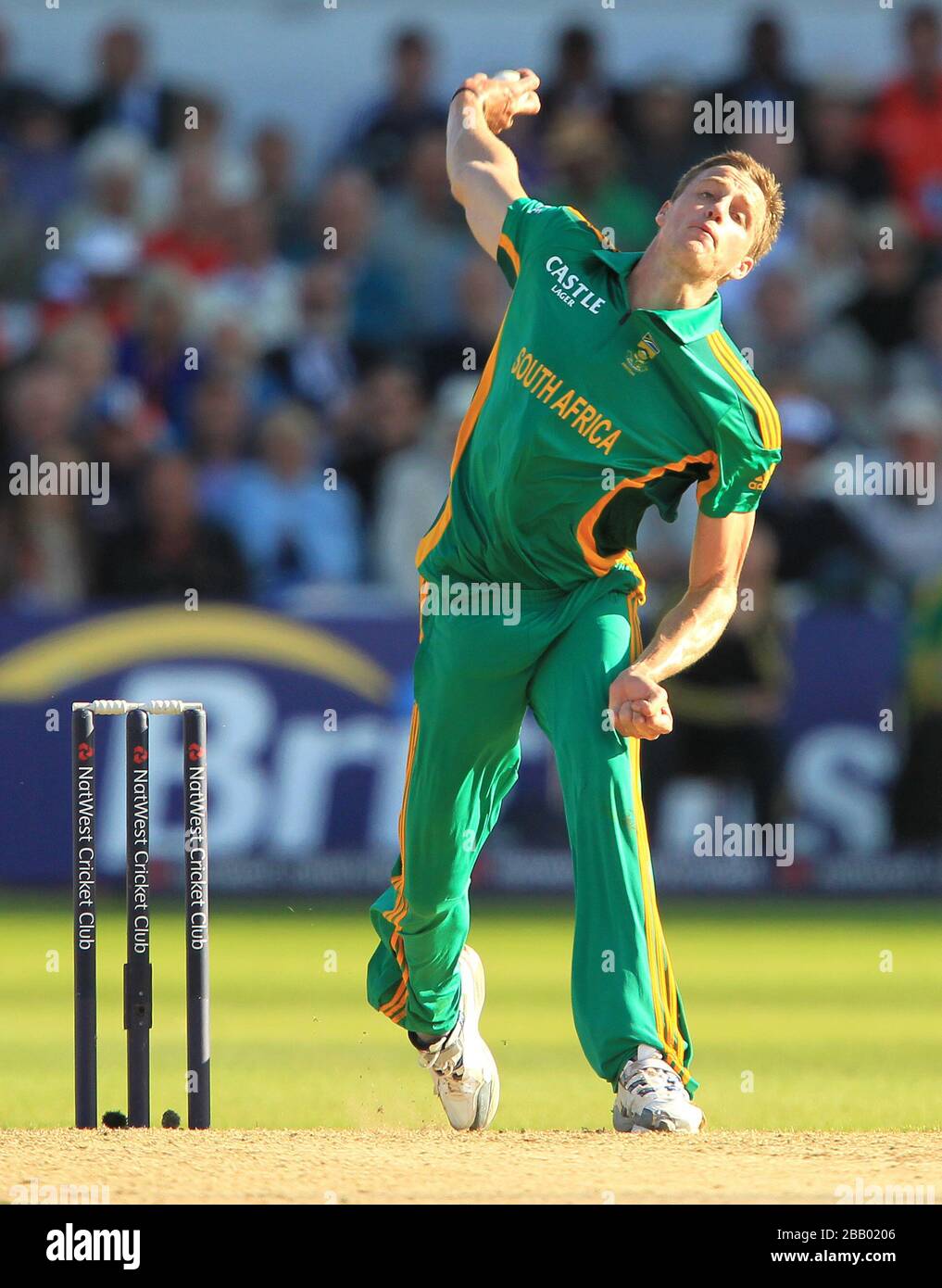 South Africa's Morne Morkel Stock Photo - Alamy
