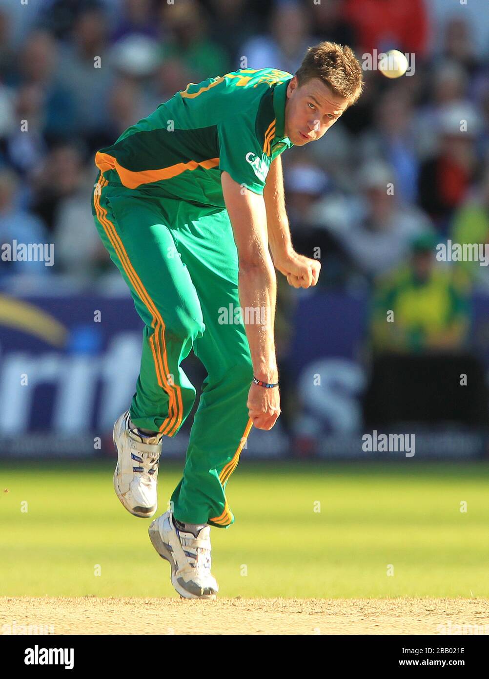 South Africa's Morne Morkel Stock Photo - Alamy