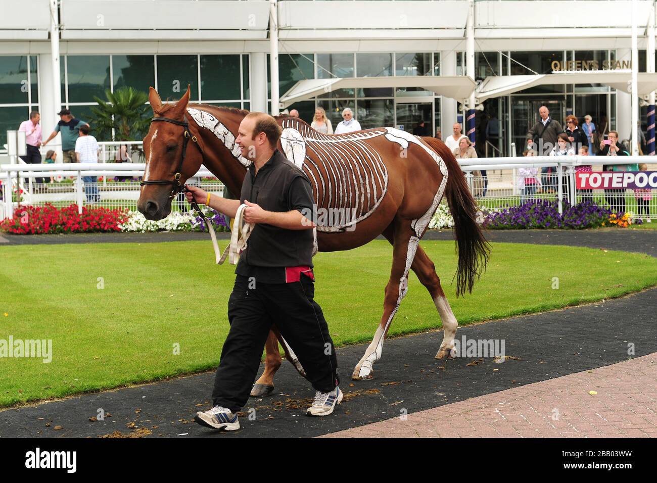A parade of painted horses in the parade ring at Epsom Downs Racecourse ...