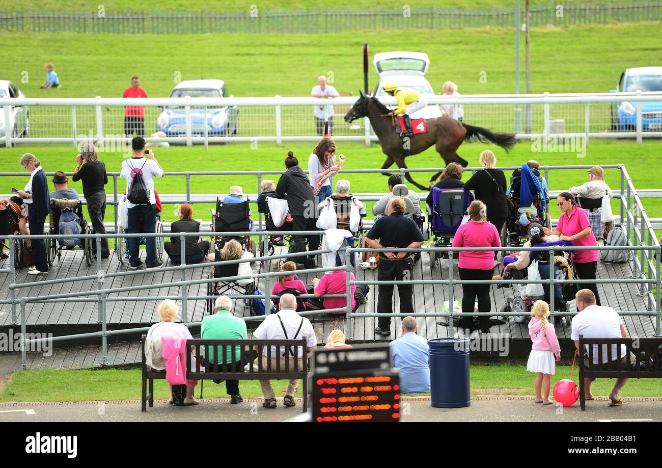 Racegoers watch the races in the stands Stock Photo - Alamy