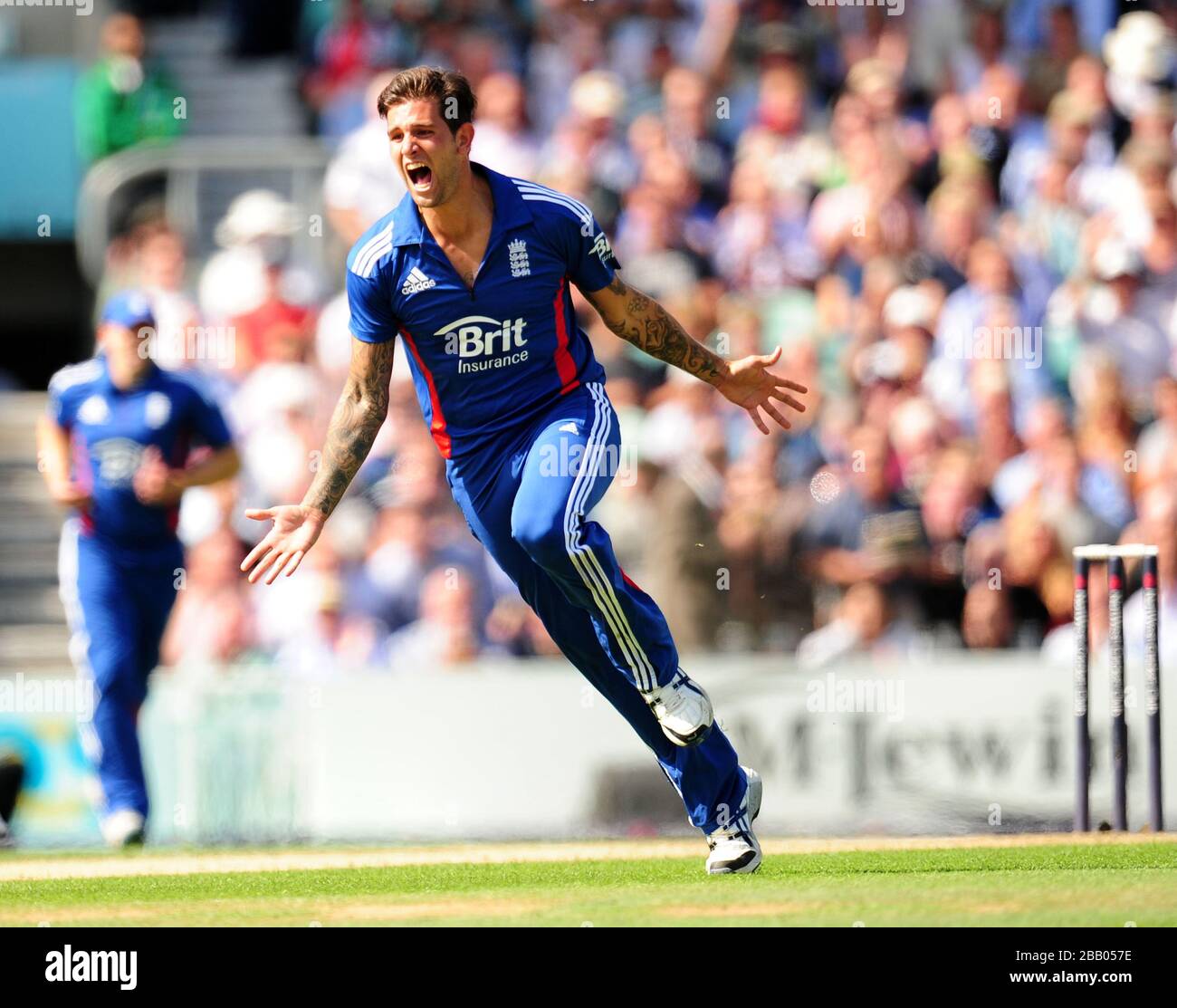 Amlar hi-res stock photography and images - Alamy