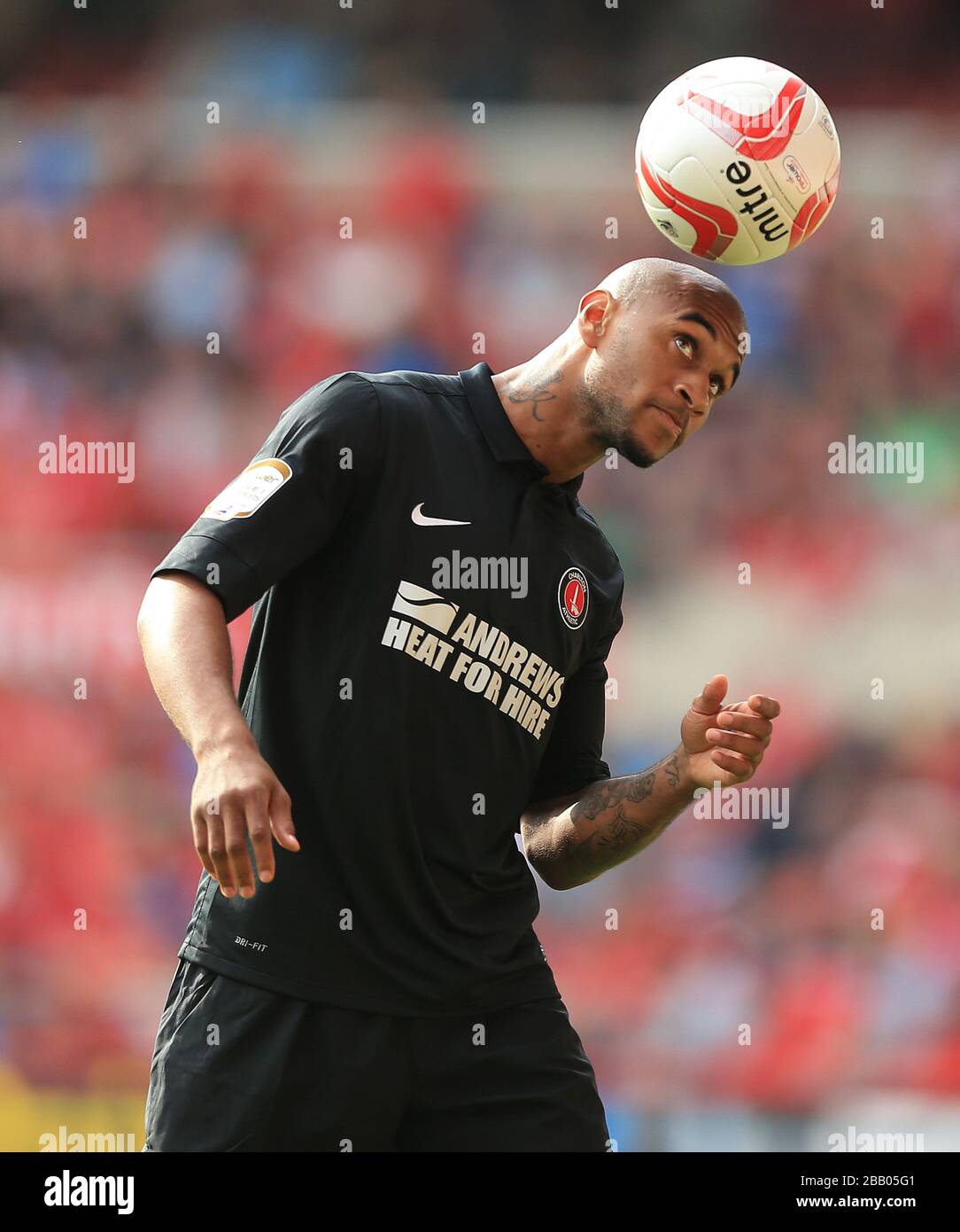 Charlton Athletic's Danny Haynes Stock Photo - Alamy