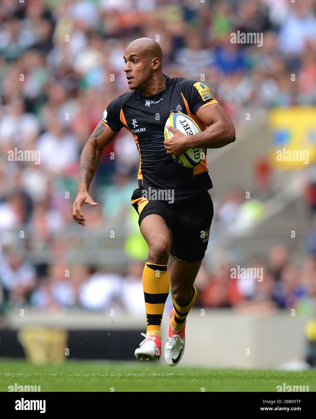 Wasps twickenham hi-res stock photography and images - Alamy