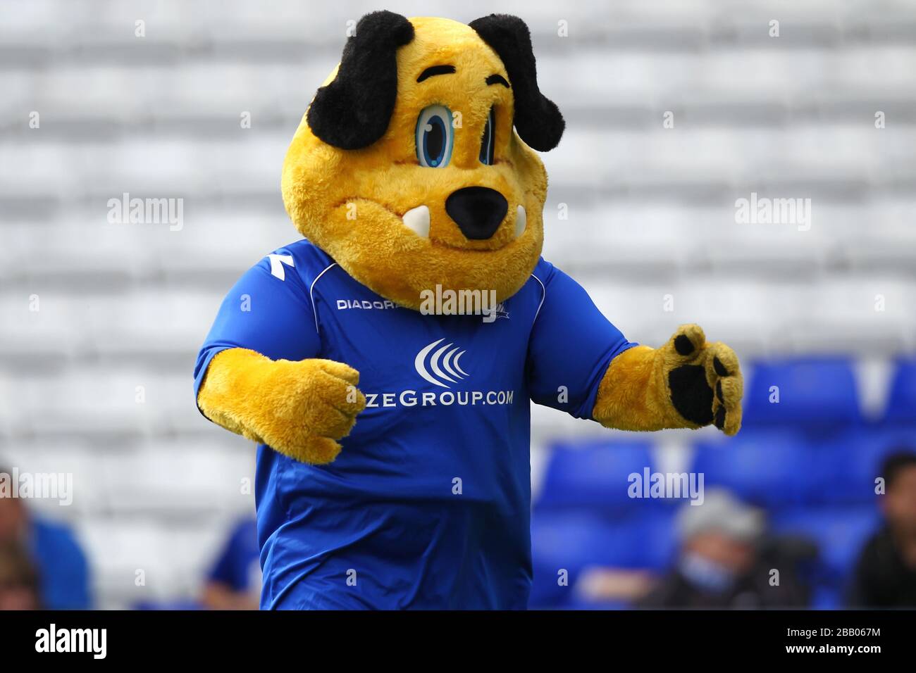 Birmingham City mascot Beau Brummie Stock Photo - Alamy