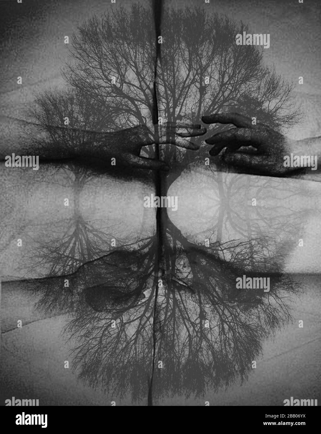 Artoftheday Black and White Stock Photos & Images - Alamy