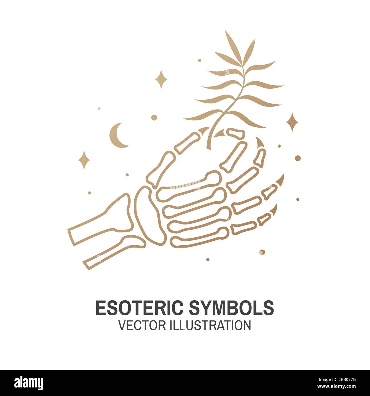 Human skull with esoteric symbols Stock Vector Images - Alamy