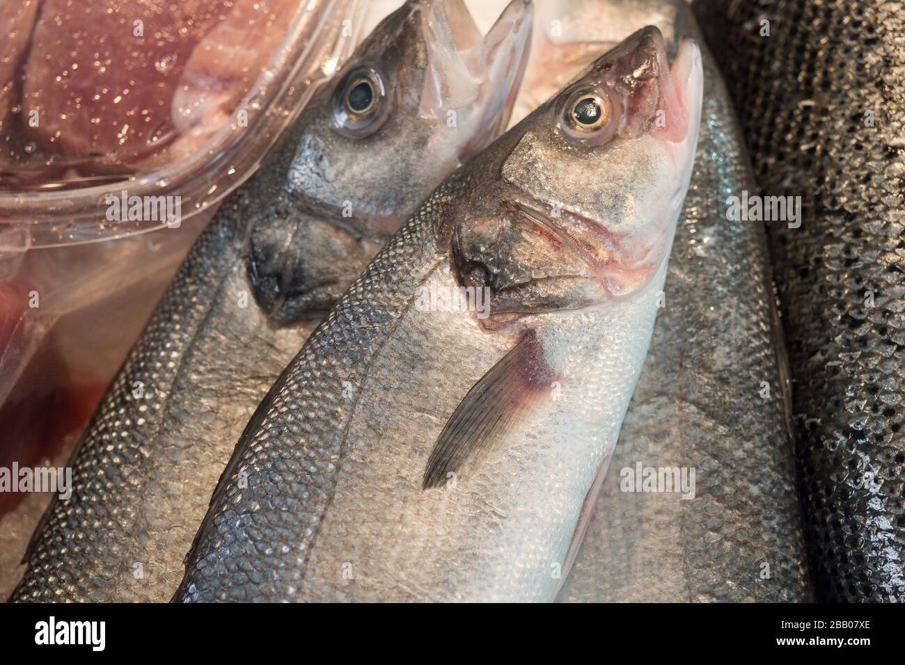 fresh fish from fisherman sea to market Stock Photo - Alamy