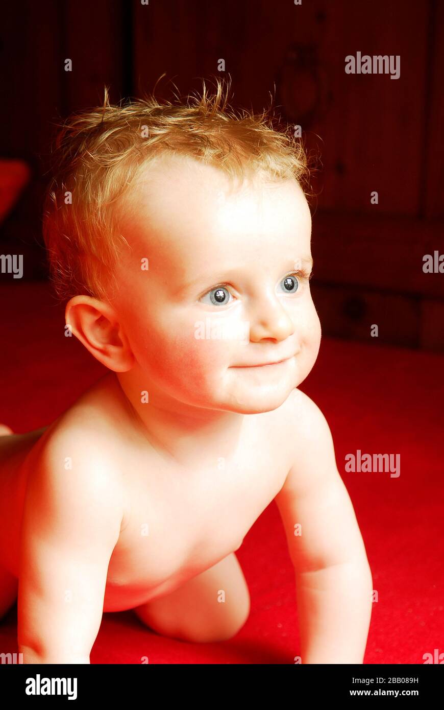 Baby kid boy lad hi-res stock photography and images - Alamy