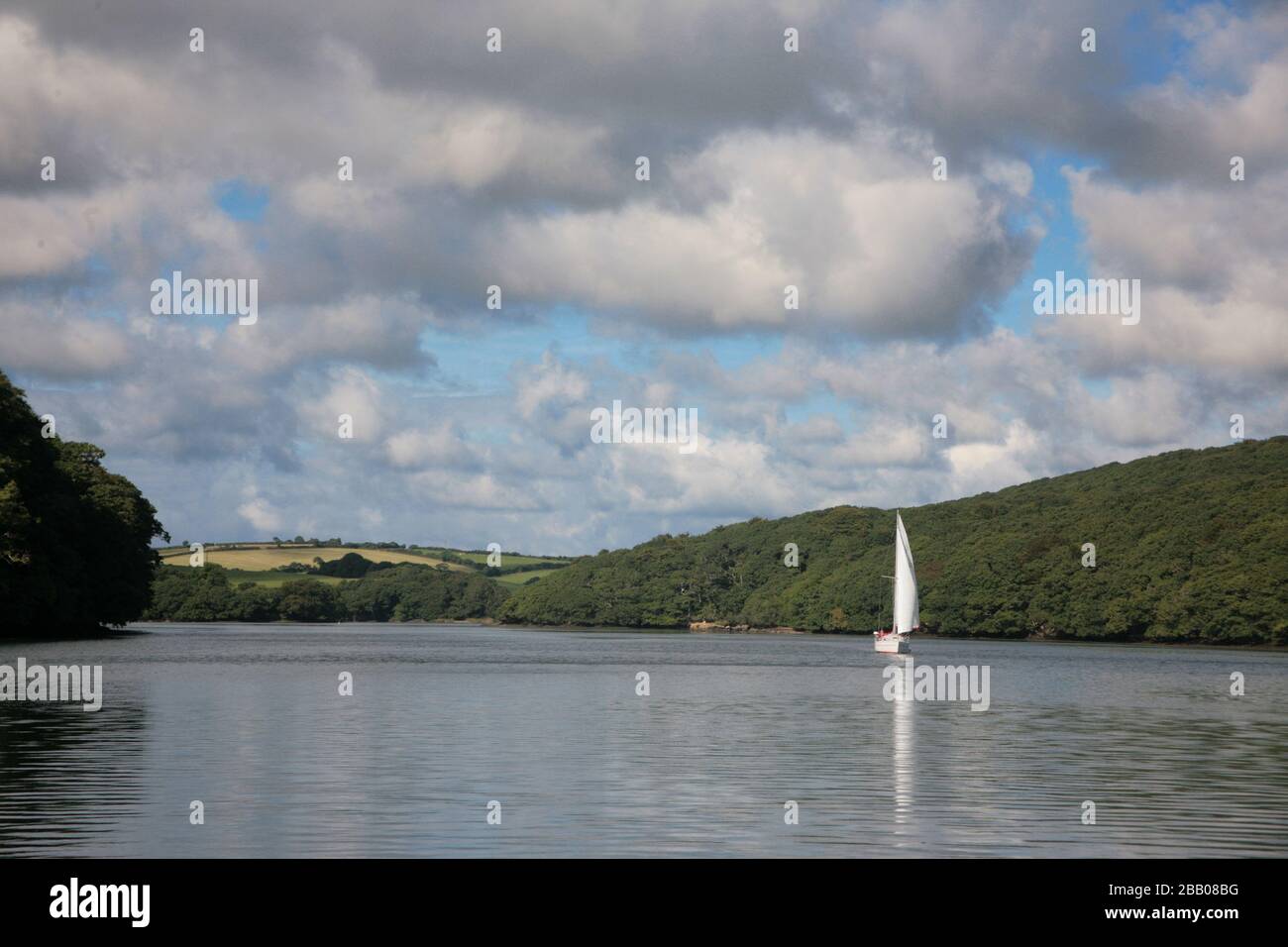 Tremayne woods hi-res stock photography and images - Alamy