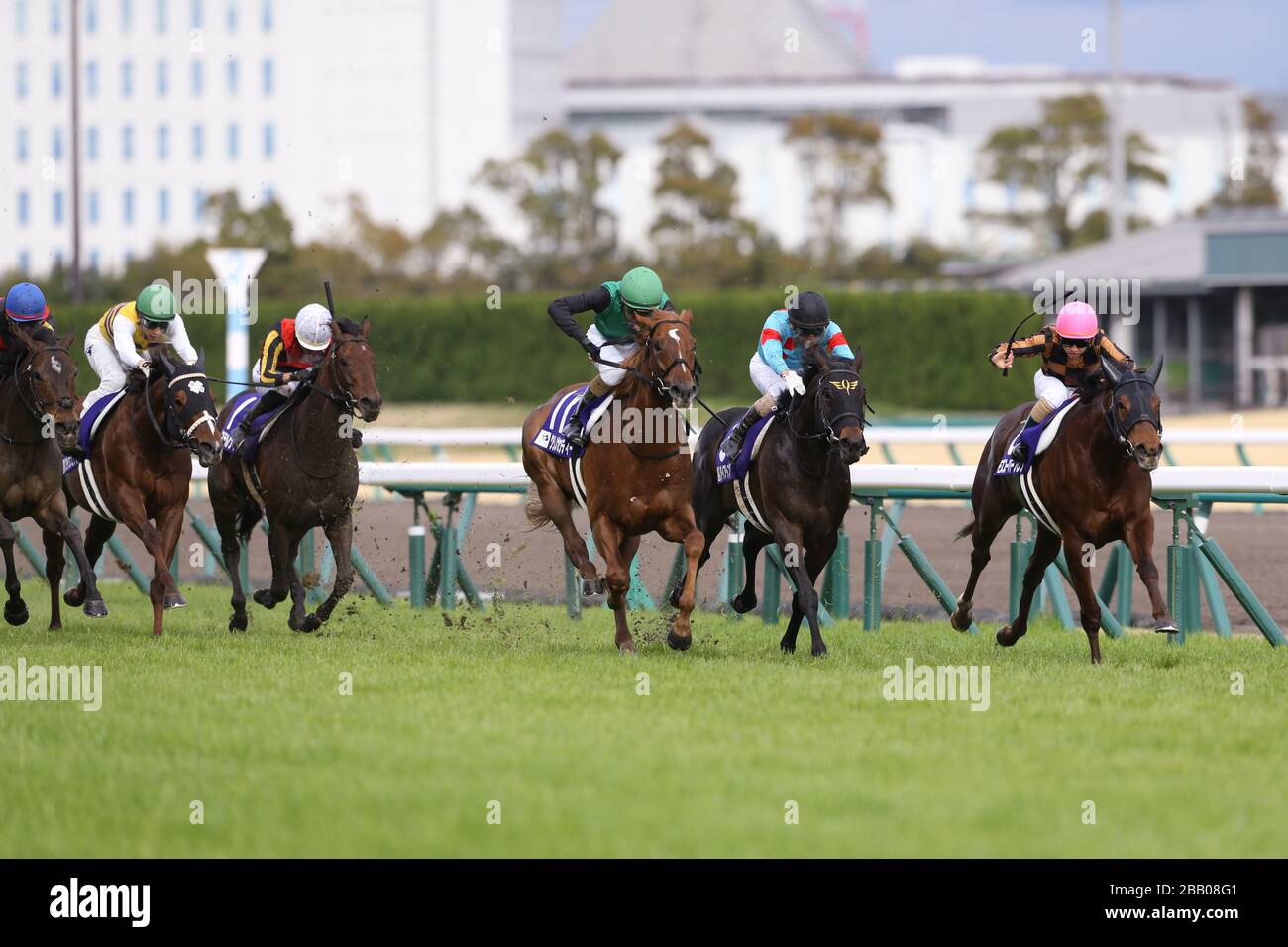 Aichi, Japan. 29th Mar, 2020. Mozu Superflare (Fuma Matsuwaka) Horse ...
