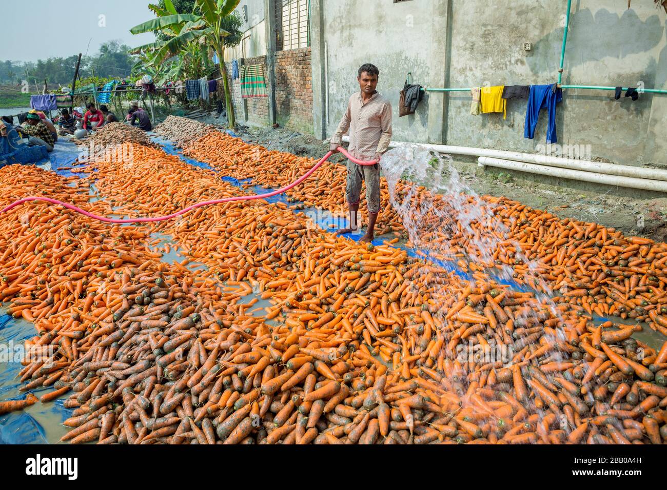 Human food pipe hi-res stock photography and images - Alamy