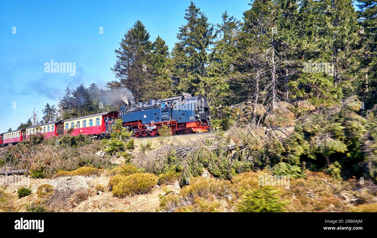Steam locomotive ride in the forest in the Harz mountains. Dynamics ...