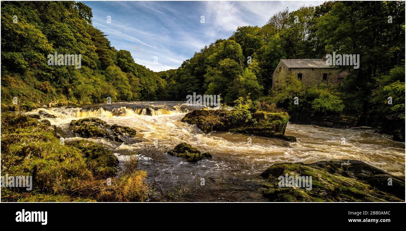 Cenarth falls hi-res stock photography and images - Alamy