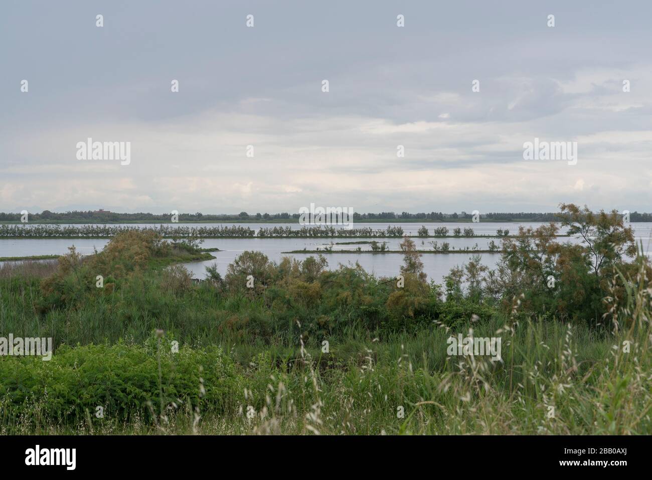 travel on delta del Po river country Stock Photo - Alamy