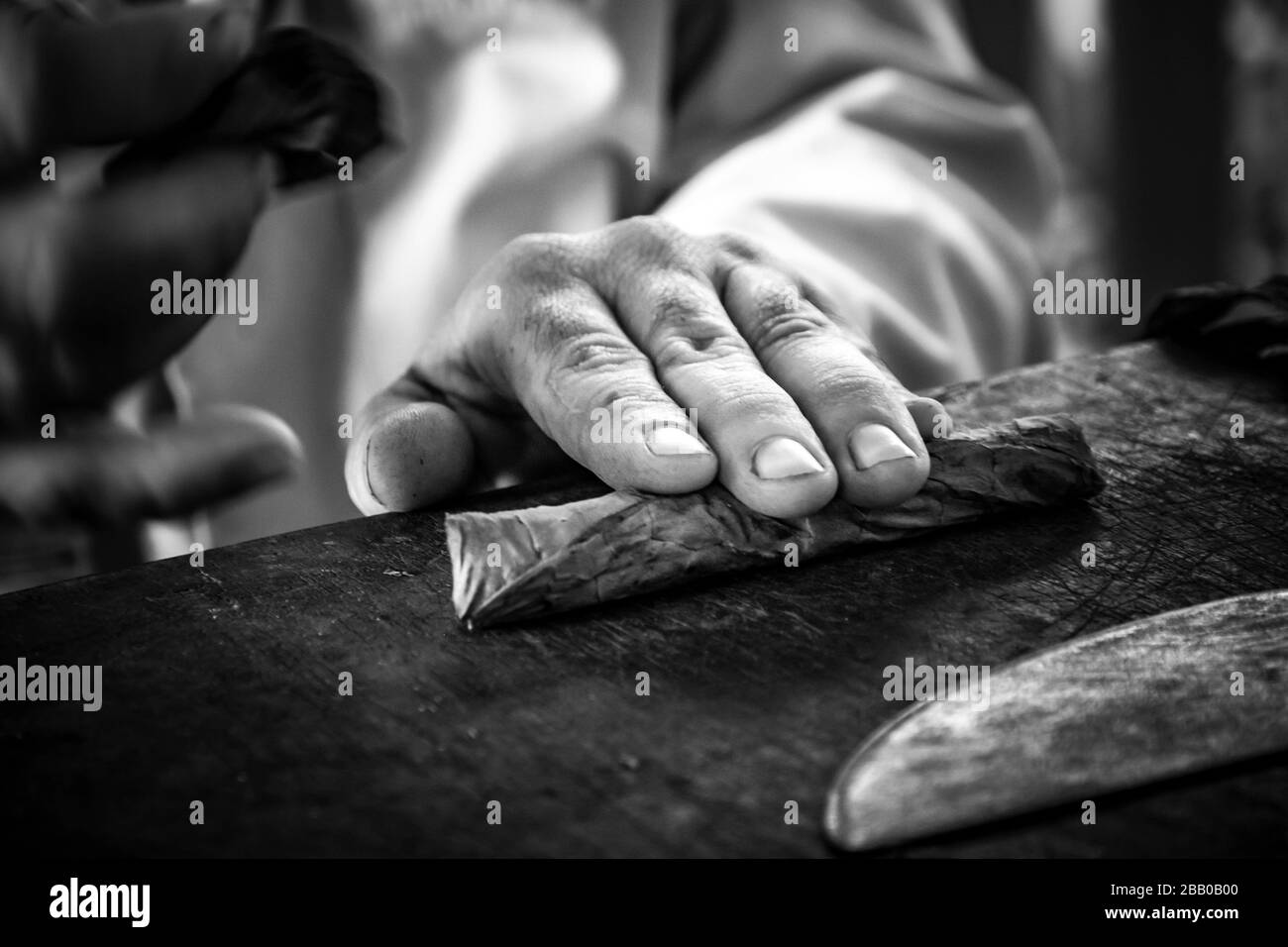 Hand rolling a cigar at a Tobacco Farm, Republic of Cuba, Caribbean ...