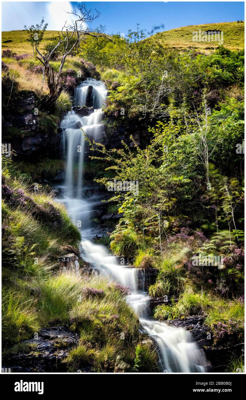 Life stream Cut Out Stock Images & Pictures - Alamy
